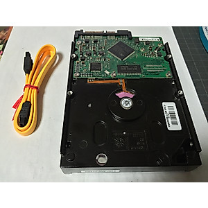 Seagate ST3300831AS 300GB Hard Drive