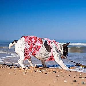 2-Pack Dog Bikini Swimsuit，Puppy Summer Beach Dress Doggie Swimwear, Rainbow/Mermaid/Floral/Leopard Dog Bathing Suit for Small Dogs Girl, Pet Clothes Cat Costumes Swimming-Dress
