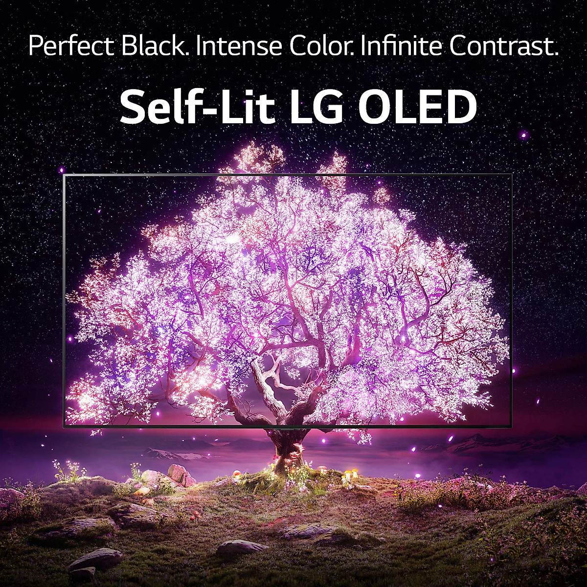 LG OLED65C1PUB Alexa Built-in C1 Series 65" 4K Smart OLED TV (Renewed)