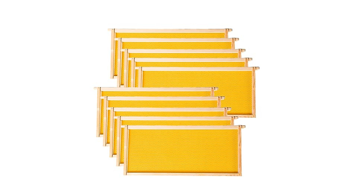 MayBee Hives-Deep or Brood Size Beehive Frames and Foundations,10 Pack ...