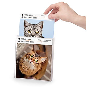 Cat Page-A-Day Gallery Calendar 2020