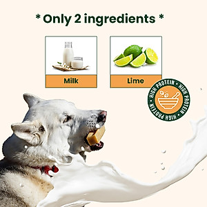 KATHMANDU'S Authentic Yak Cheese Himalayan Dog Chews - All Natural and Protein-Rich Nutrition Dog Treats, Long Lasting Chews for Aggressive Chewers, Odor & Gluten Free Yak Chew | Large (Pack of 2)