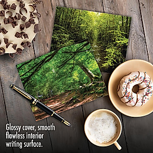 The Best Card Company - 20 Landscape Nature Note Cards Blank (4 x 5.12 Inch) (10 Designs, 2 Each) - Nature Trails AM6467OCB-B2x10