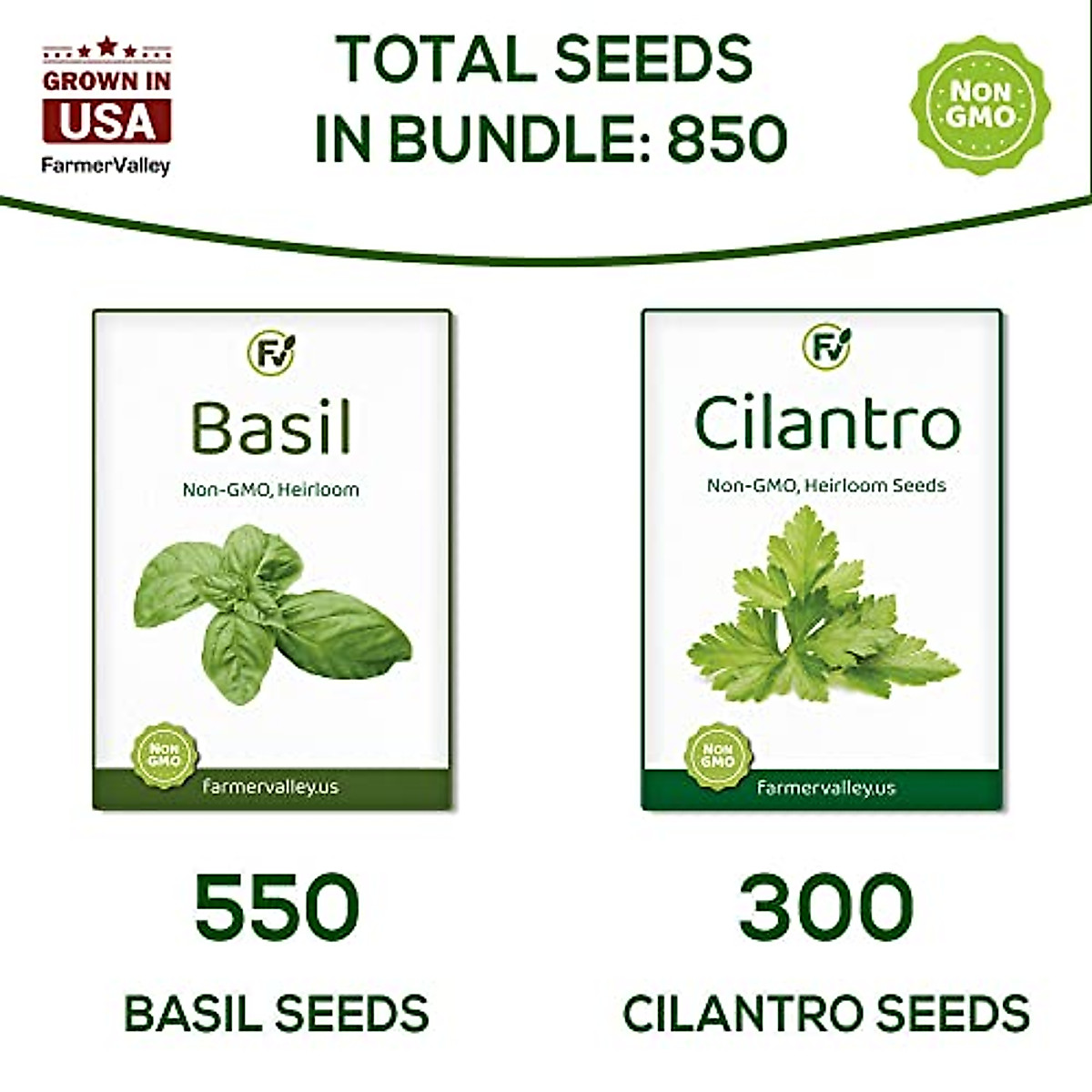 Medicinal and Tea Herb Seeds Variety Pack for Planting Indoors, Outdoors and Hydroponically - USA Grown, Heirloom, Non GMO Herbal Garden Seeds, Including Basil and Cilantro