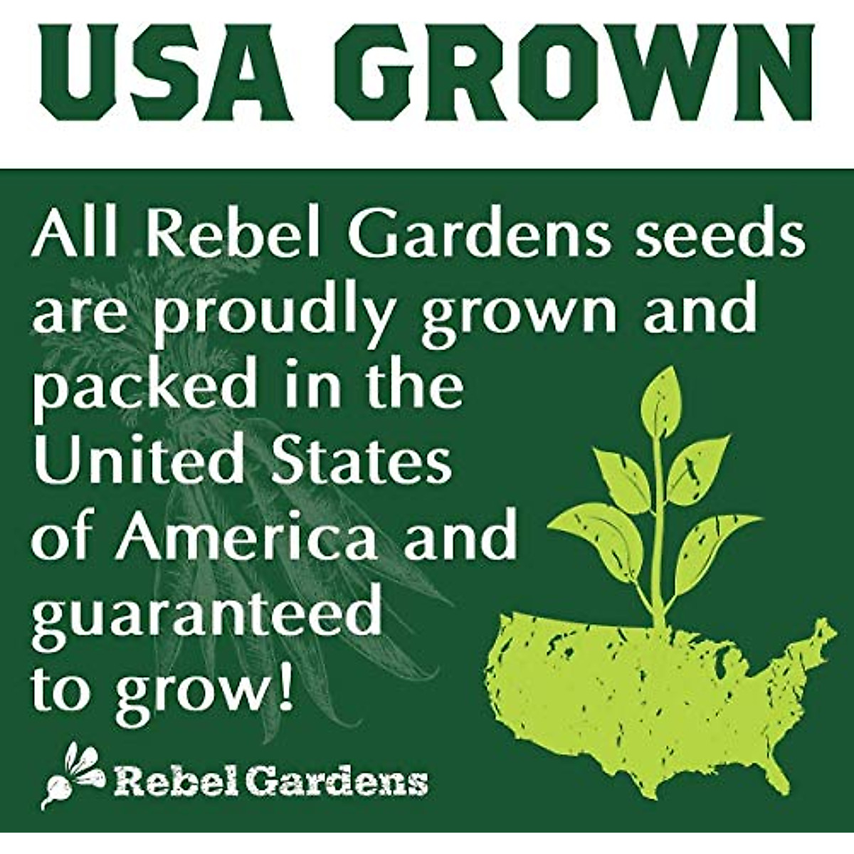 Kitchen Garden Seed Collection - Certified Organic Herb & Vegetable Seeds - 14 Varieties of Non-GMO, Heirloom, Home Garden Seeds for Planting - Basil, Tomato, Spinach, Cilantro, & More