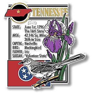 Tennessee Six-Piece State Magnet Set by Classic Magnets, Includes 6 Unique Designs, Collectible Souvenirs Made in The USA