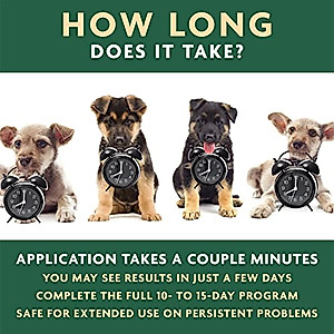 EcoEars Dog Ear Cleaner. Natural Multi-Action Formula. for Bad Discharge & Smell. Naturally Removes Foreign Matter and Cleanses The Most Difficult Ears. 100% Guaranteed