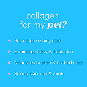 Skin and Coat Supplement for Dogs, Cats | Taily Liquid Collagen for Dogs | Itch Relief for Dogs with Allergies, with Grass Fed Collagen, Biotin, Vitamin C and Hyaluronic Acid | Made in USA