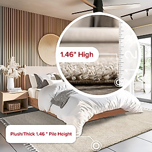 nuLOOM Neva Modern Tasseled Shag Area Rug, 8x11, Beige