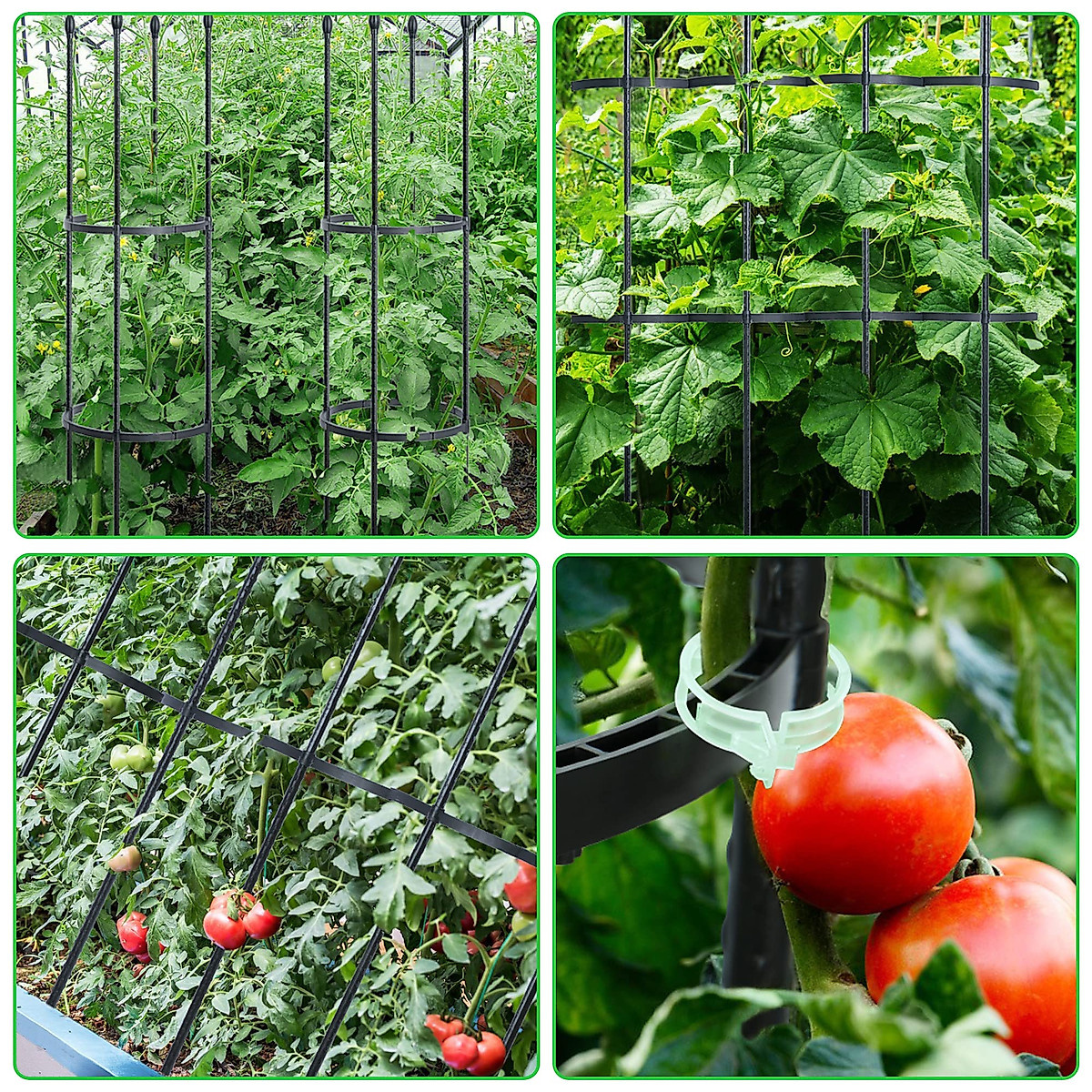 Garden Trellis 4 Pack 60&quot; Tomato CageTall Plant Support Climbing Vines Flowers Stands,Plant Cages &amp; Supports for Vines Crop Vegetable, Flowers,Potted Plants,with 60pcs Plant Clips