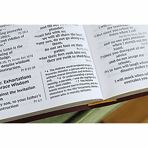 NIV, Reference Bible, Giant Print, Leather-Look, Burgundy, Red Letter, Comfort Print