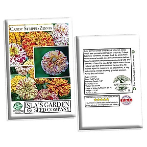 "Candy Stripe Mix" Zinnia Seeds for Planting, 50+ Flower Seeds Per Packet, (Isla's Garden Seeds), Non GMO & Heirloom Seeds, Botanical Name: Zinnia elegans, Great Home Garden Gift