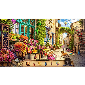 Hidden Object Adventure Games - Faircroft's Antiques Collection, 5 Game DVD Pack + Digital Download Codes (PC)