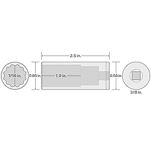 TEKTON 3/8 Inch Drive x 7/16 Inch Deep 12-Point Socket | SHD13211