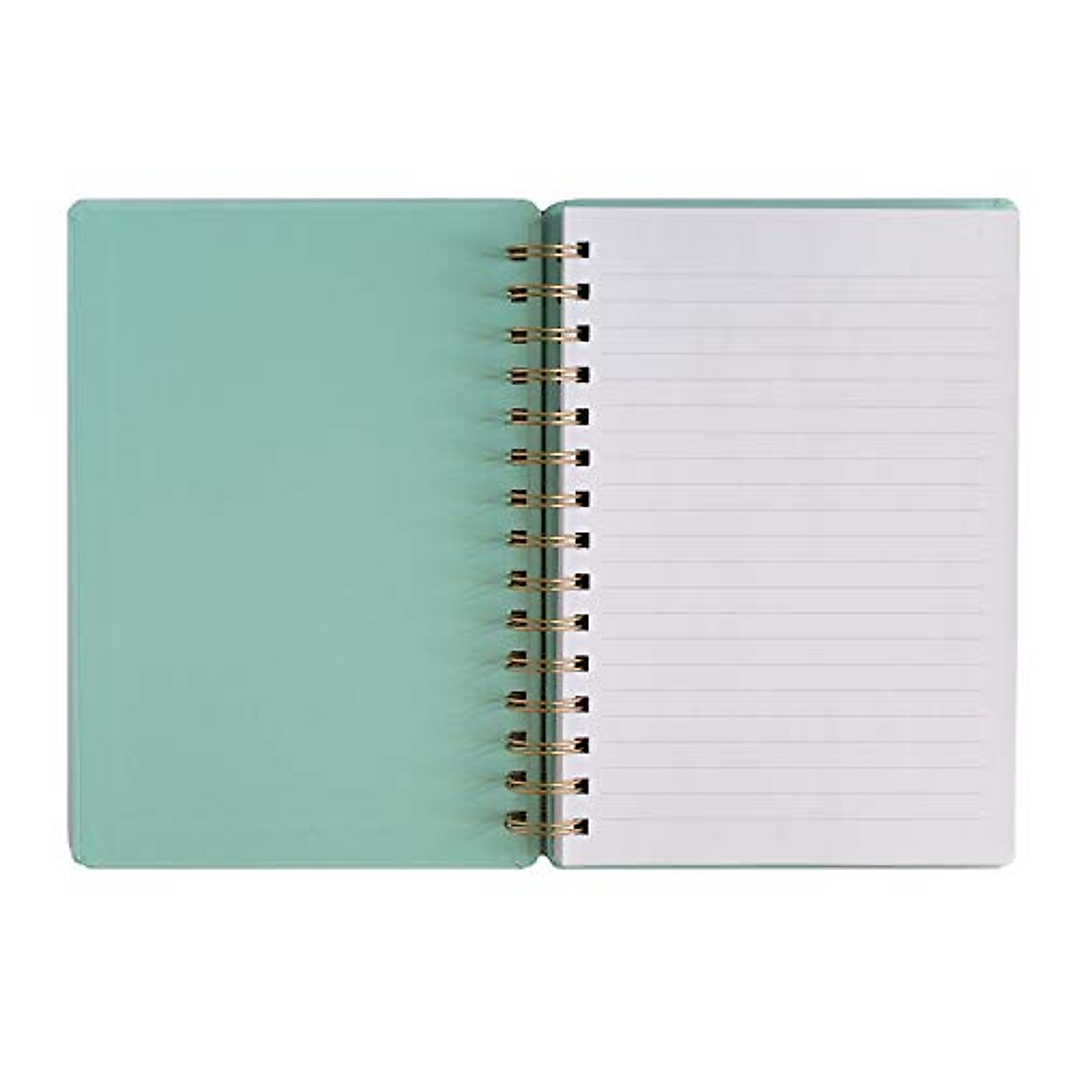 Sweet Water Decor Boss Lady Mint Spiral Notebook Motivational Notebooks Motivation Notebook Inspiration Boss Gift For Her Inspirational Hardcover Journal Lined Paper Gifts For Women Blank Diary Books