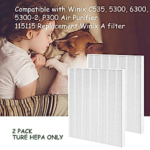115115 Size 21 Replacement Filter A Compatible with Winix C535 C909, Winix PlasmaWave 5300, 6300, 5300-2, 6300-2, P300 Plasma wave Air Cleaner Purifier, True HEPA Filter Only 2 Pack
