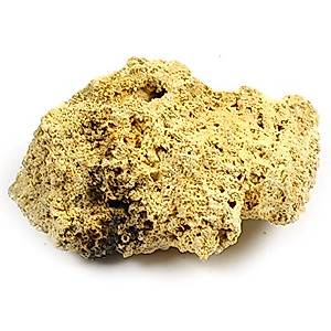 Travertine Specimen (Sedimentary Rock), Approx. 1" (3cm)