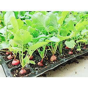 Gardzen 10-Set Garden Propagator Set, Seed Tray Kits with 150-Cell, Seed Starter Tray with Dome and Base 15" x 9" (15-Cell Per Tray)