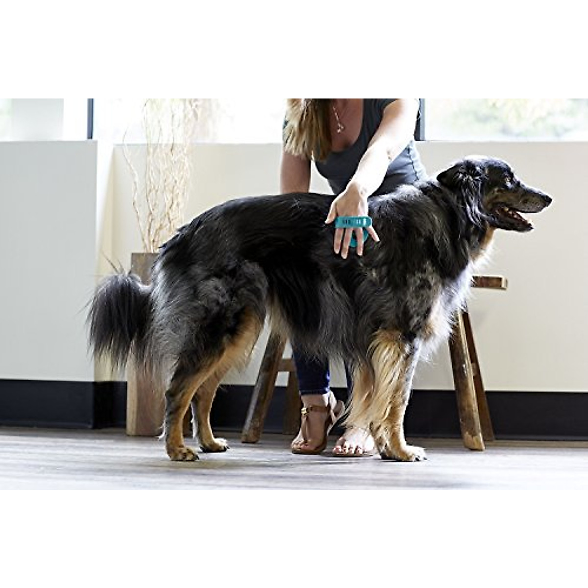 PetWell Massaging Groomer De-Shedding Glove Mitt 2-in-1 Brush Tool for All Size Pets (Dogs, Cats) with Short or Long Hair