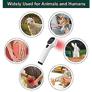 iKeener Handheld Red Light Therapy for Dogs,Portable LLLT Vet Device for Dogs and Pets, 650nm & 808nm Infrared Therapy for Pain Relief,Itching Skin & Wound Care in Dogs, Cats, Horses