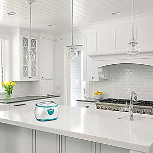 Ultrasonic Cleaner, UKOKE 3800S Professional Ultrasonic Jewelry Cleaner with Timer, Portable Household Ultrasonic Cleaning Machine, Electronics Eyeglasses Watch Ring Diamond Retainer Denture Clean