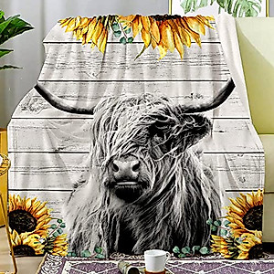 Highland Cow Blanket Super Soft Flannel Sunflower Cow Throw Blanket Warm Lightweight Blanket for Adults Kids Gifts 50"X40"