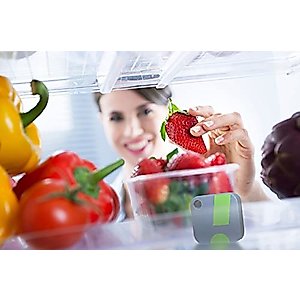 SensorPush HT1 Wireless Thermometer/Hygrometer for iPhone/Android. USA Developed and Supported Humidity/Temperature/Dewpoint/VPD Monitor/Logger. Indoor/Outdoor Smart Sensor with Alerts