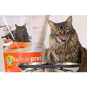 Dr. Elsey'S Cleanprotein Salmon Formula Dry Cat Food, 2 Pound (Pack of 1)