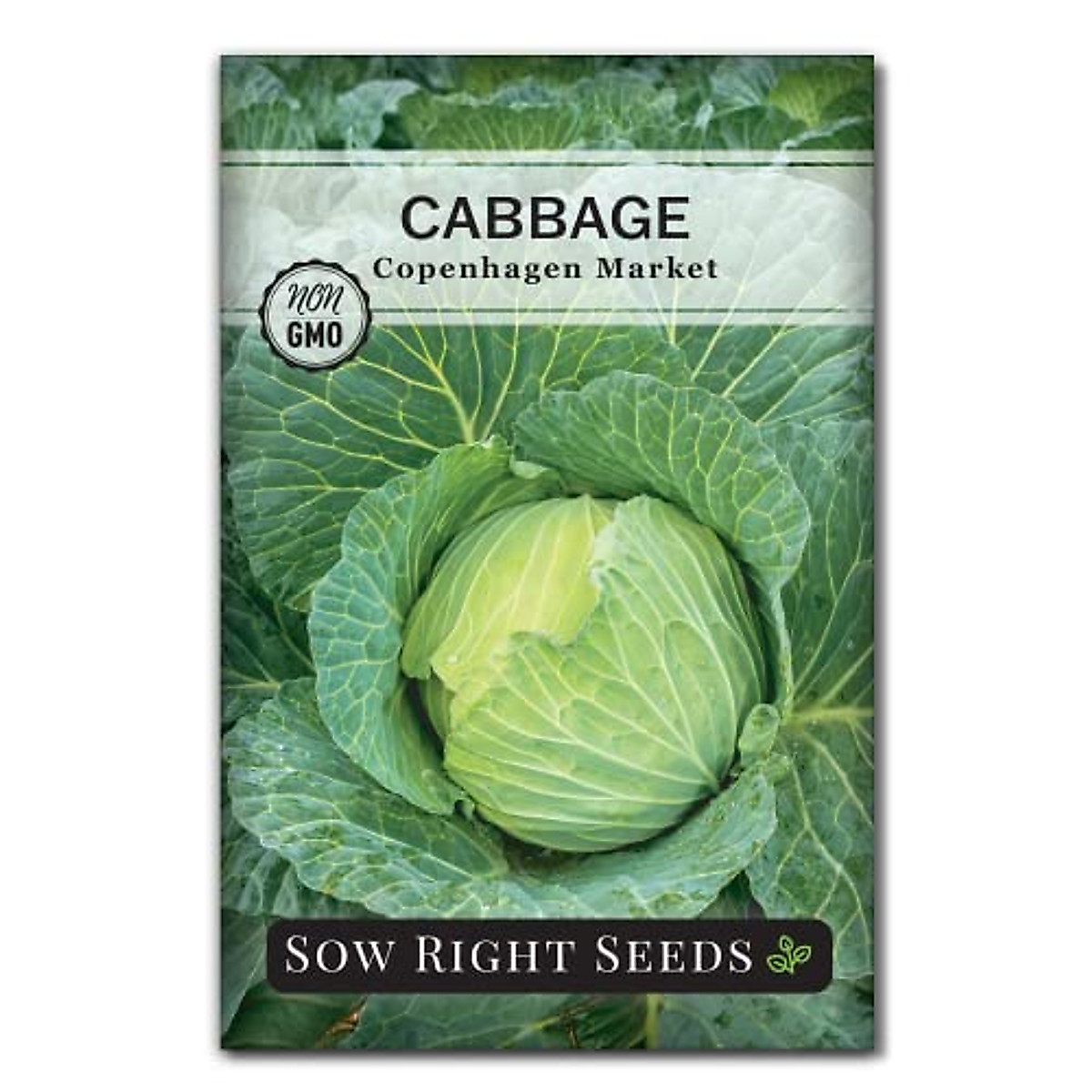 Sow Right Seeds - Copenhagen Market Cabbage Seed for Planting - Non-GMO Heirloom Packet with Instructions to Plant and Grow an Outdoor Home Vegetable Garden - Early Variety - Wonderful Gardening Gift