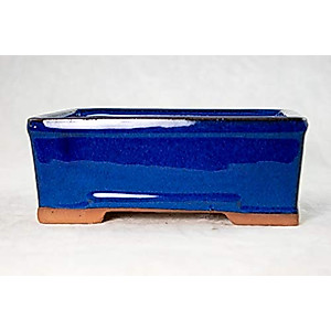 Rectangular Shohin Bonsai/Cactus & Succulent Pot + Mesh 6.25"x 4.75"x 2.5" Dark Blue