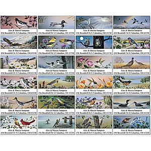 Birds Self-Adhesive, Flat-Sheet Deluxe Address Labels (24 Designs)