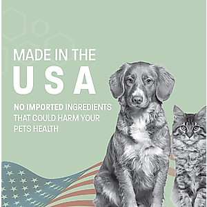 Pet Health Pros Dog Breath Water Additive - Cat & Dog Water Additive for Dental Care - Dog Dental Water Additive for Dogs Teeth and Bad Breath Treatment for Dogs and Cats - Odorless & Tasteless - 8 oz