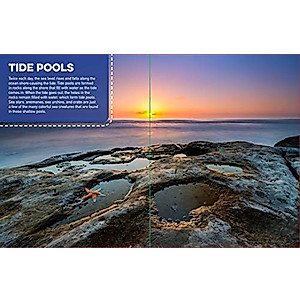 Discovery Real Life Sticker Book: Ocean (Discovery Real Life Sticker Books)