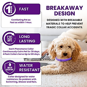 Royce Naturals 4 Pack Calming Collar for Dogs, Pheromone Breakaway Dog Collar, Separation Anxiety Relief for Dogs, Purple, (PETCOL01-3PP)