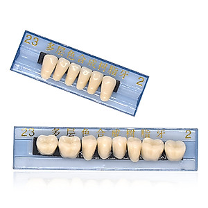 RZJZGZ 168 Pcs Dentures Resin Teeth Halloween Fake Teeth Vampire Horror Teeth Fangs for Halloween Party Cosplay Props Horror Party FavorsA2 …