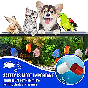 Aquarium Water Clarifier - Clowdy Water - Fish Tank Treatment