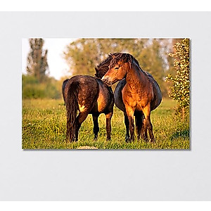 Pair of Exmoor Ponies Canvas Print 1 Panel / 36x24 inches