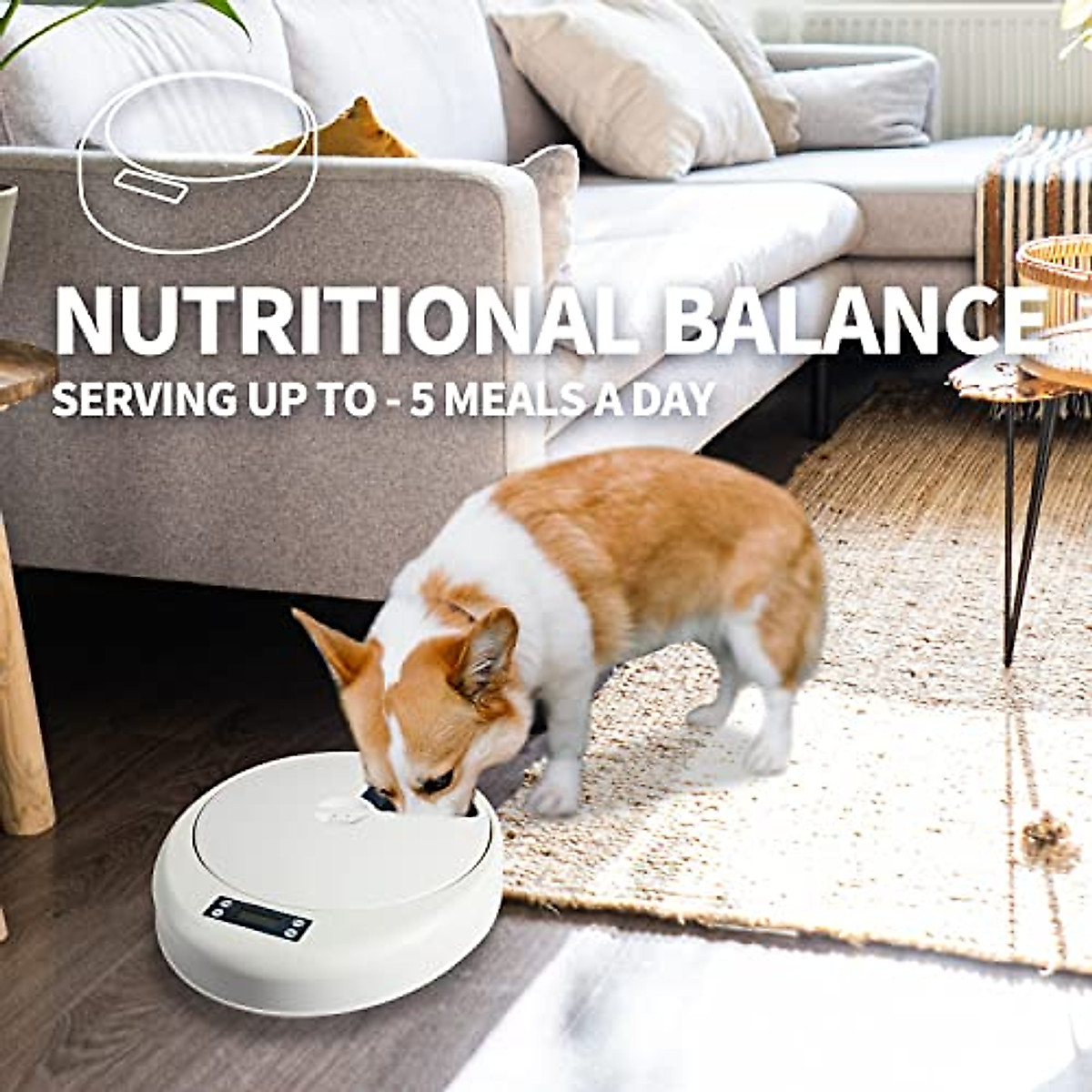 All For Paws Automatic Cat Feeders,5 Meal Automatic Dog Feeder,Cat Food Dispenser with Programmable Timer,Automatic Pet Feeder for Dry and Wet Food