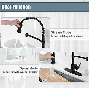 Casavilla Black Kitchen Faucet Soap Dispenser, Faucet for Kitchen Sink, Kitchen Sink Faucet with Deck Plate, Kitchen Faucet with Pull Down Sprayer and Dual Function Spray Head, RV Sink Faucet