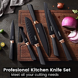 Knives Set with Acrylic Stand, 17Pcs Stainless Steel Knife Block Set includes Serrated Steak Knives Set, Chef Santoku Knives, Scissor, Sharpener and Knife Holder (Black Knife Set with Block)