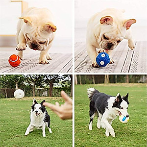 NC Popular Dog Toy Latex Rugby Tennis Dog bite Vocal Ball pet Toy