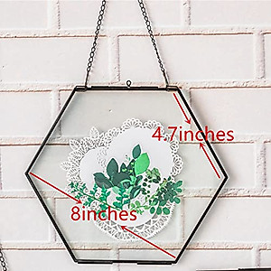 NCYP Side Length 4.7 inches Small Hanging Black Hexagon Herbarium 8inches Brass Glass Frame for Pressed Flowers, Dried Flowers, Double Glass Floating Frame Style, Glass Frame Only