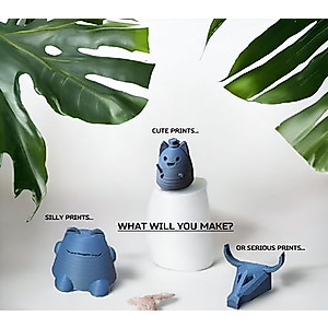 Umbrella Innovations PLA Filament, 1.75mm +/- 0.03, 1 KG, 3D Printing Filament (Black)