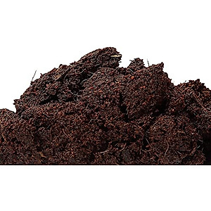 12 Pack Compressed Coco Coir Seed Starter, 0.55lb Soil Brick for Gardening