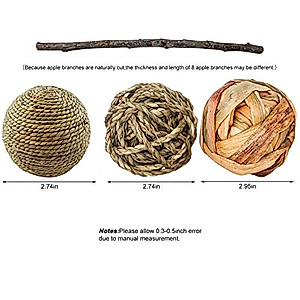 RoyalPolar 8 Pcs Small Animals Chew Toys Rat Activity Ball Guinea Pig Play Toys for Rabbits Squirrel Gerbils Small Pets Chewing and Playing Exercise Teeth Care, Pet Cage Entertainment Accessories