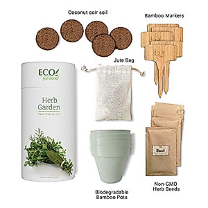 ECOgardener Herb Garden Kits - Indoor Herb Garden Kits - Herb Seed Kits for Indoor Gardening - Window or Kitchen Herb Garden Kits - 5 Pack + 2 Bonus Herbs