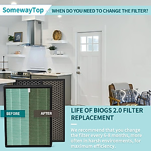 BioGS 2.0 Filters Replacement Kit Compatible with Rabbit Air Biogs Filter Replacement SPA-550A and SPA-625A, Air Clenaer to Remove Odor for Home and Large Room, 2x H13 True HEPA and 2x Carbon