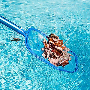SharkBlu Plastic Pool Skimmer Net with Universal EZ-Clip Attachment for Easy Replacement, Leaf Skim Nets for Cleaning Swimming Pools, Telescopic Pole Not Included, Blue - 17.5 x 11.5 x 1.5 inches