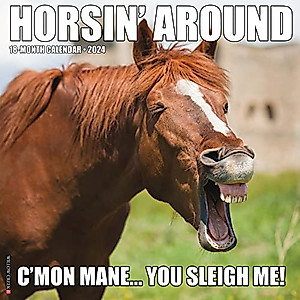 Willow Creek Press Horsin’ Around Monthly 2024 Wall Calendar (12" x 12")