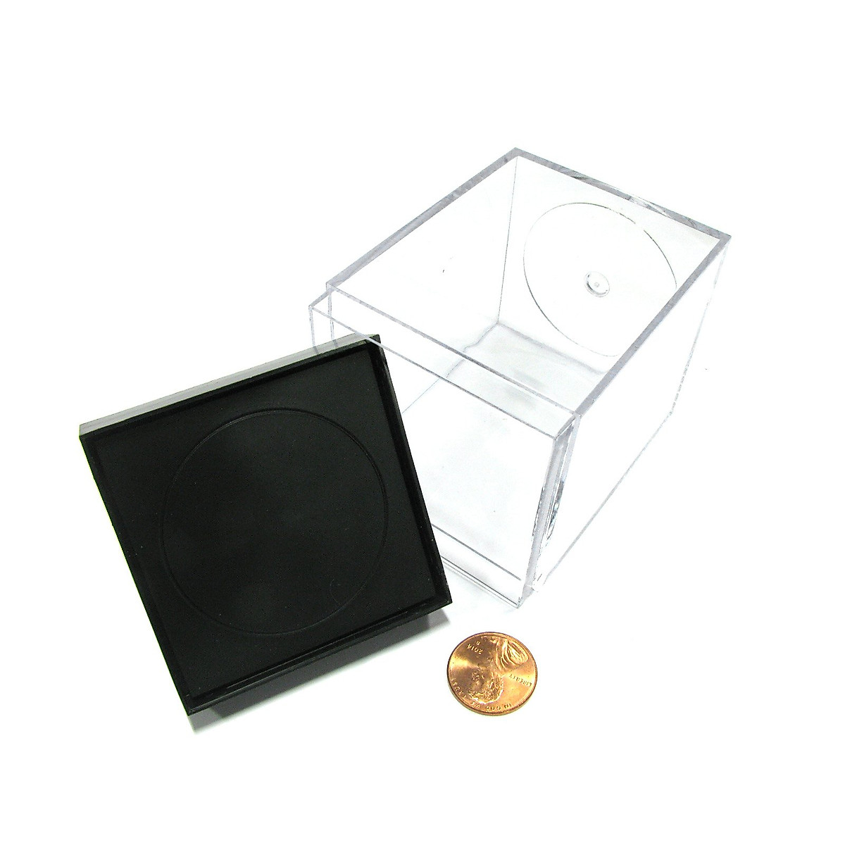 Plastic Figure Display Box Large by Chessex Dice